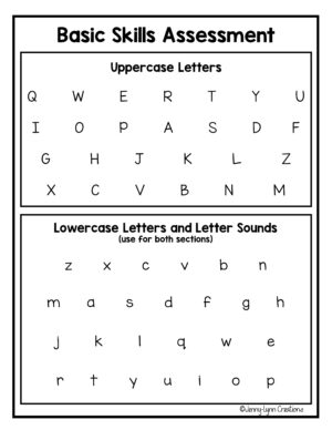 Basic Skills Assessment | Made By Teachers