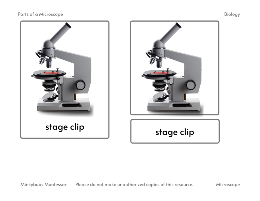 Parts of a Microscope 3 Part Cards | Made By Teachers