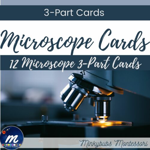 Parts of a Microscope 3 Part Cards | Made By Teachers