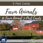 Farm Animal 3 Part Cards - Made By Teachers