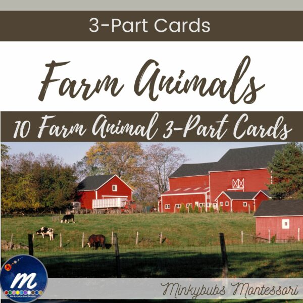 Farm Animal 3 Part Cards - Made By Teachers
