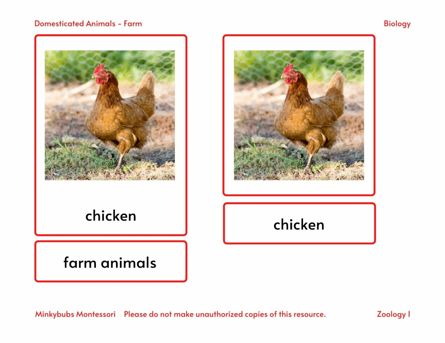 Farm Animal 3 Part Cards - Made By Teachers