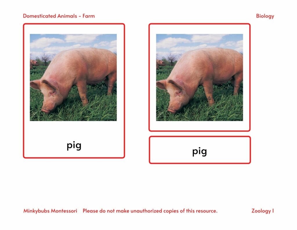 Farm Animal 3 Part Cards - Made By Teachers