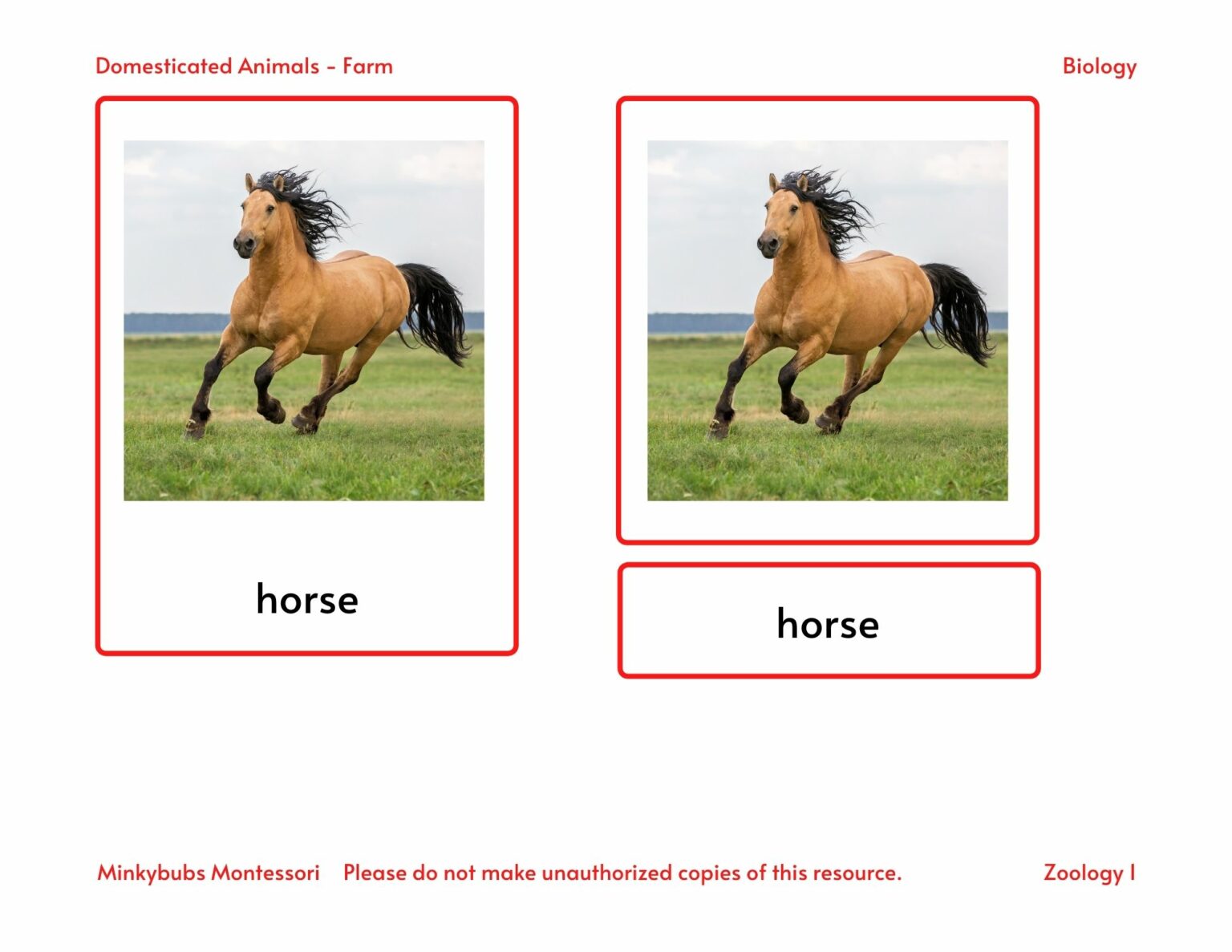 Farm Animal 3 Part Cards - Made By Teachers