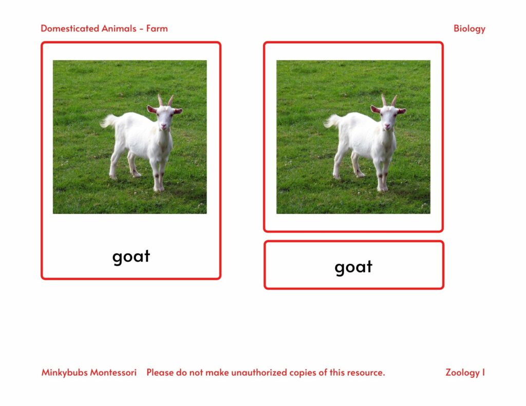 Farm Animal 3 Part Cards - Made By Teachers