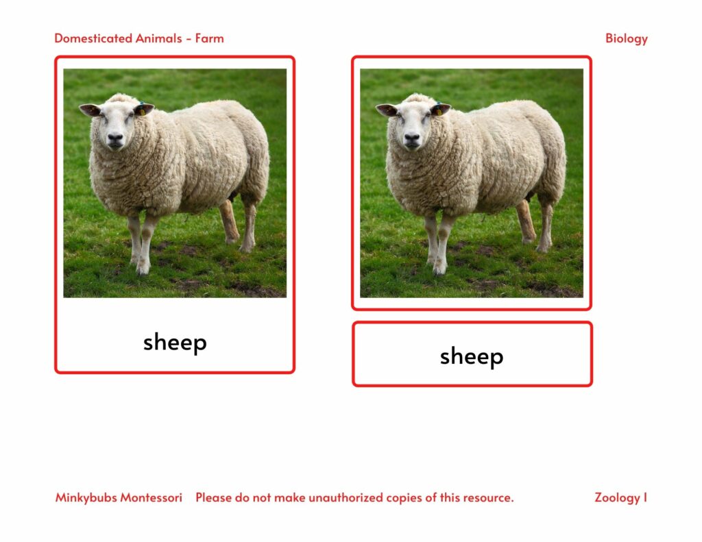 Farm Animal 3 Part Cards - Made By Teachers