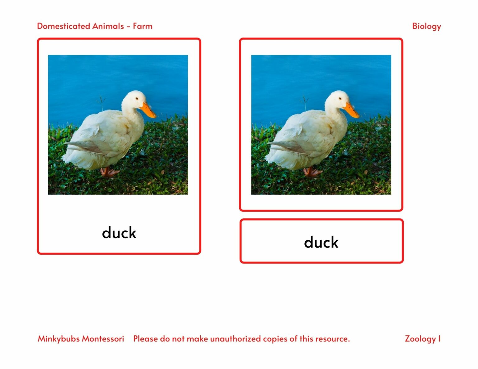 Farm Animal 3 Part Cards - Made By Teachers