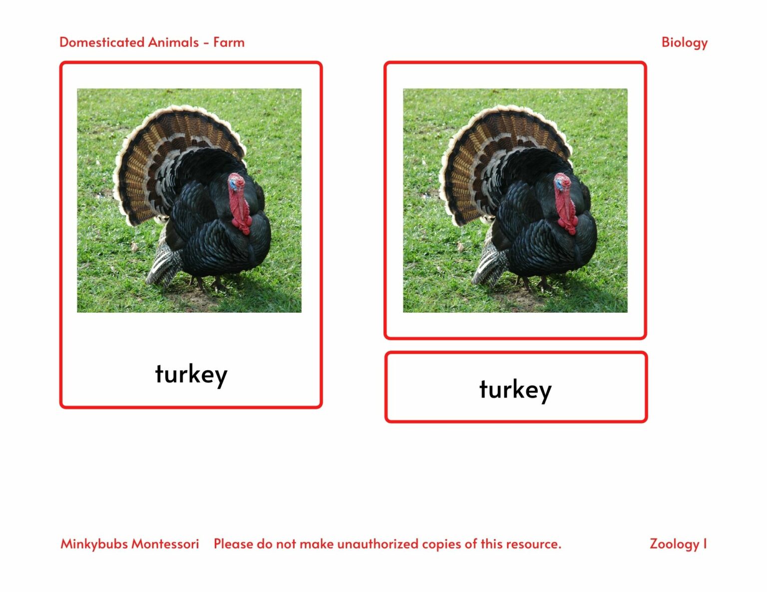 Farm Animal 3 Part Cards - Made By Teachers