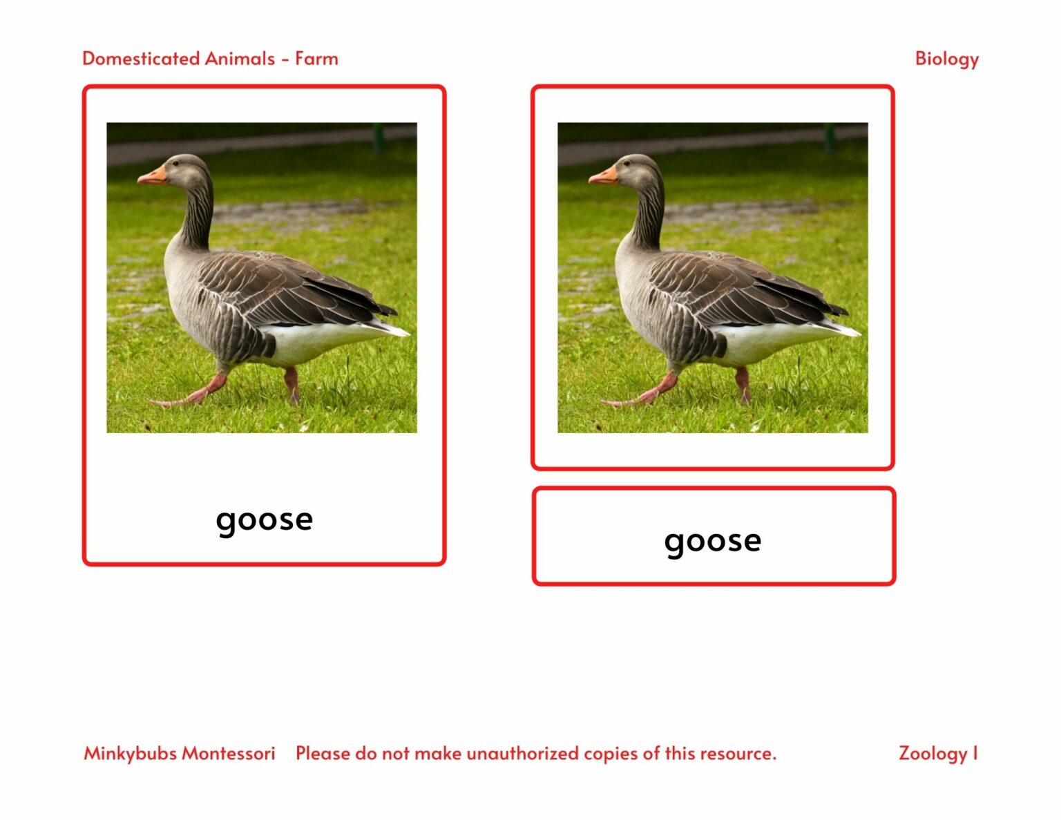 Farm Animal 3 Part Cards - Made By Teachers