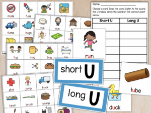 Word Sorts LONG & SHORT VOWELS Word Cards CVC CVCe - Made By Teachers