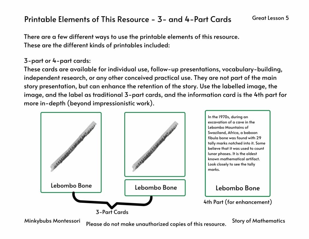 Montessori Story of Mathematics Fifth Great Lesson | Made By Teachers