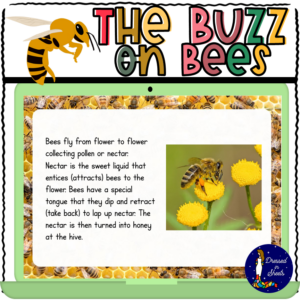 The Buzz on Bees BOOM Cards - Made By Teachers