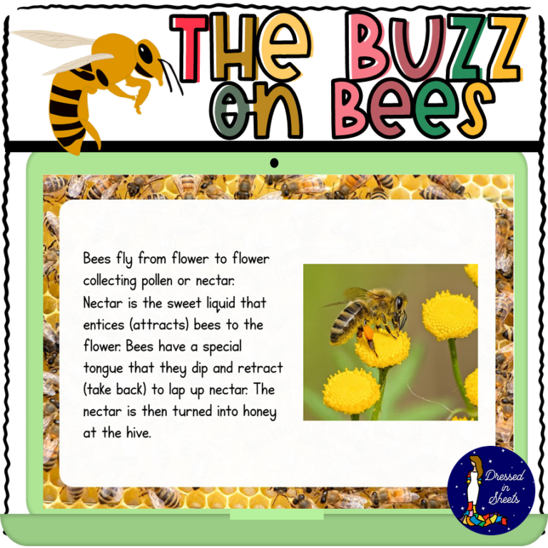 The Buzz on Bees BOOM Cards - Made By Teachers