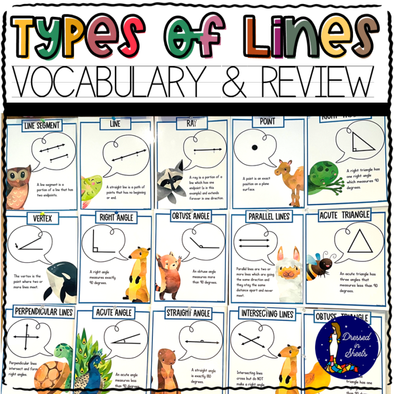 4th Grade Types of Lines Vocabulary and Review | Made By Teachers