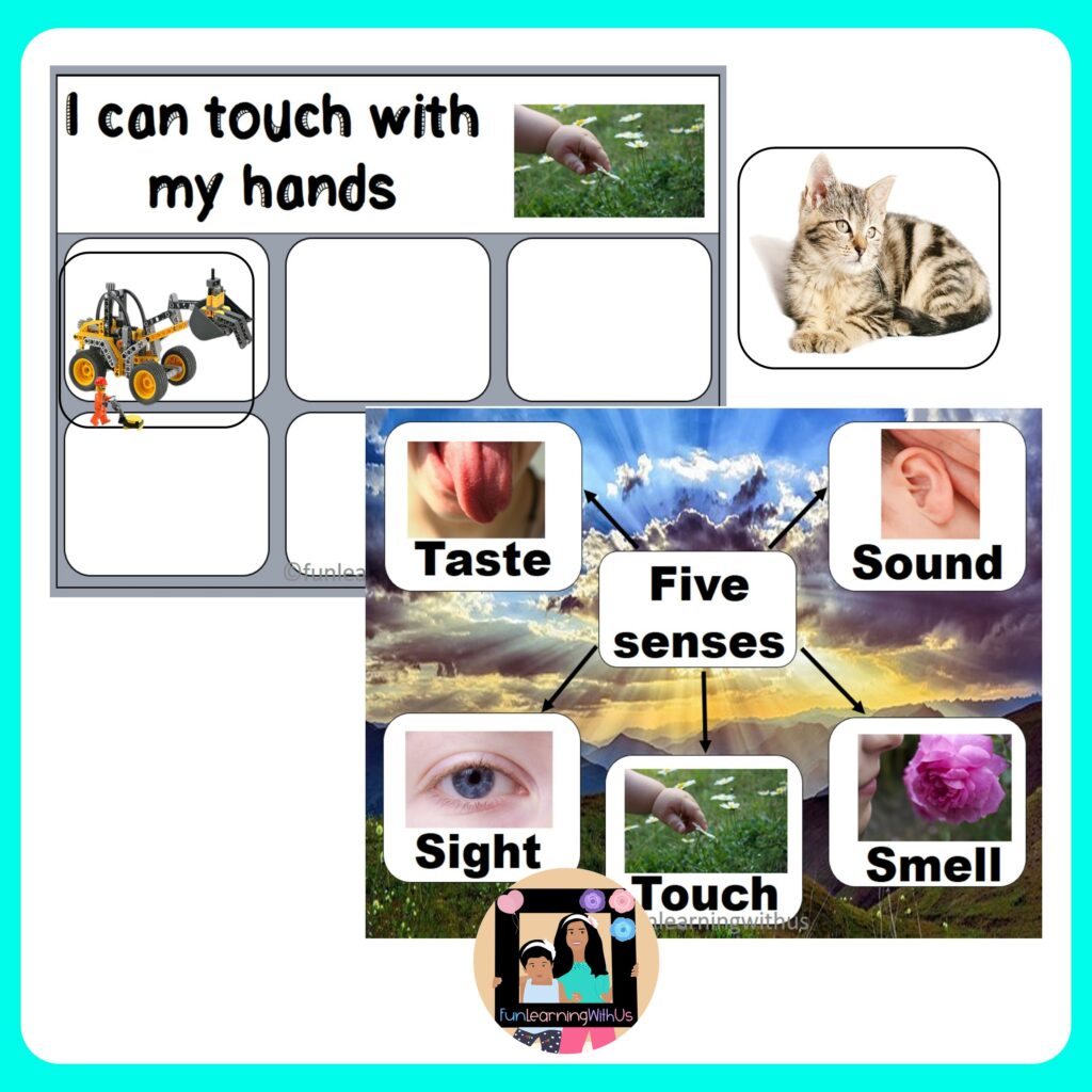 Five Senses Sorting Mats (Real Images) - Made By Teachers