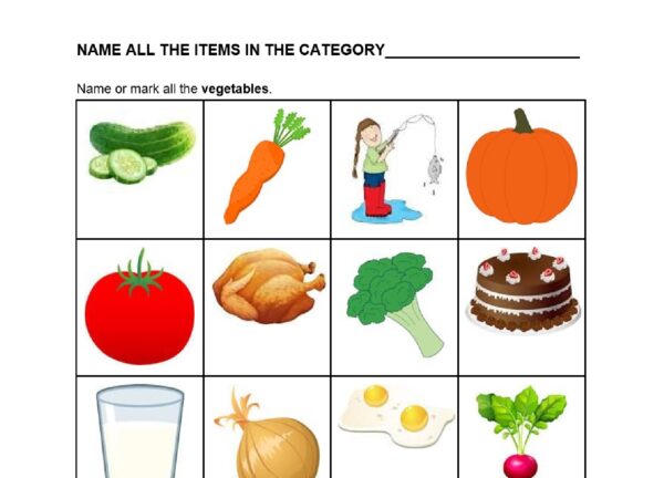NAME ALL THE ITEMS IN THE CATEGORIES FULL PACKET | Made By Teachers