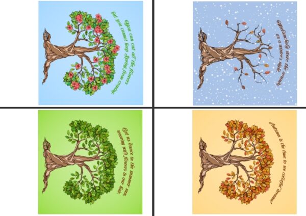 Bee Focus Board Display Pack - Made By Teachers