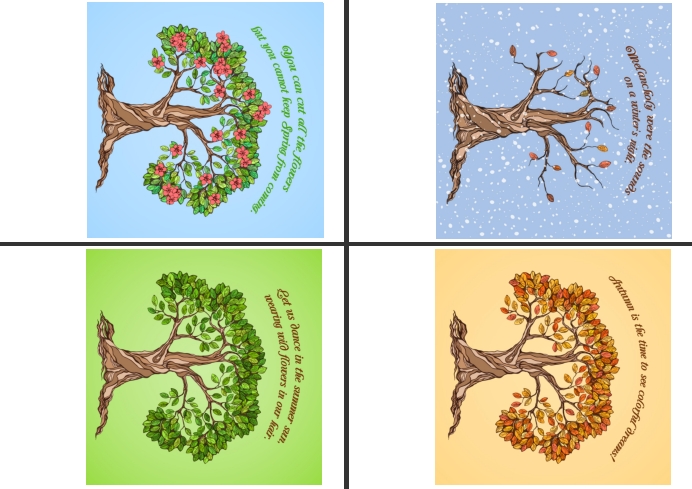 Bee Focus Board Display Pack | Made By Teachers