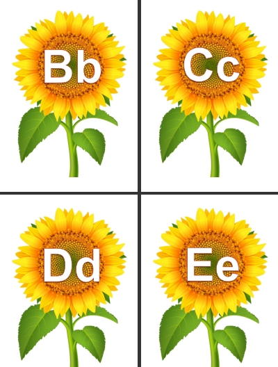 Sunflower Focus Board Display Pack - Made By Teachers