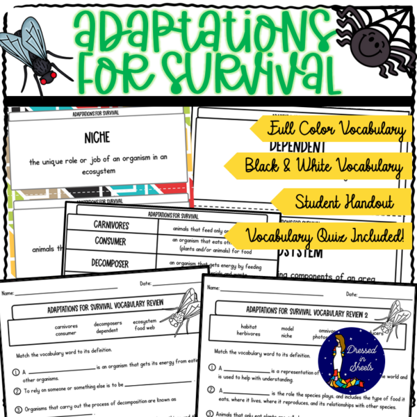 4th Grade Adaptations for Survival Vocabulary - Made By Teachers