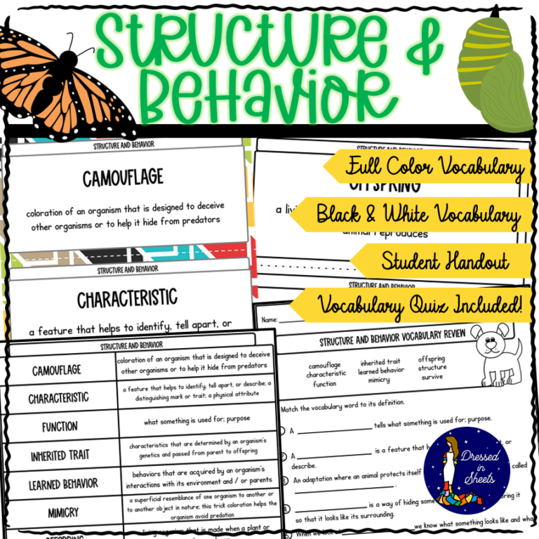 *3rd Grade* Science Vocabulary Pack for Whole Year - Made By Teachers