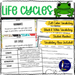 4th Grade Life Cycle Vocabulary - Made By Teachers