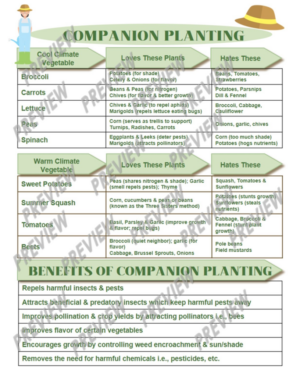 Gardening Planner and Journal | Made By Teachers