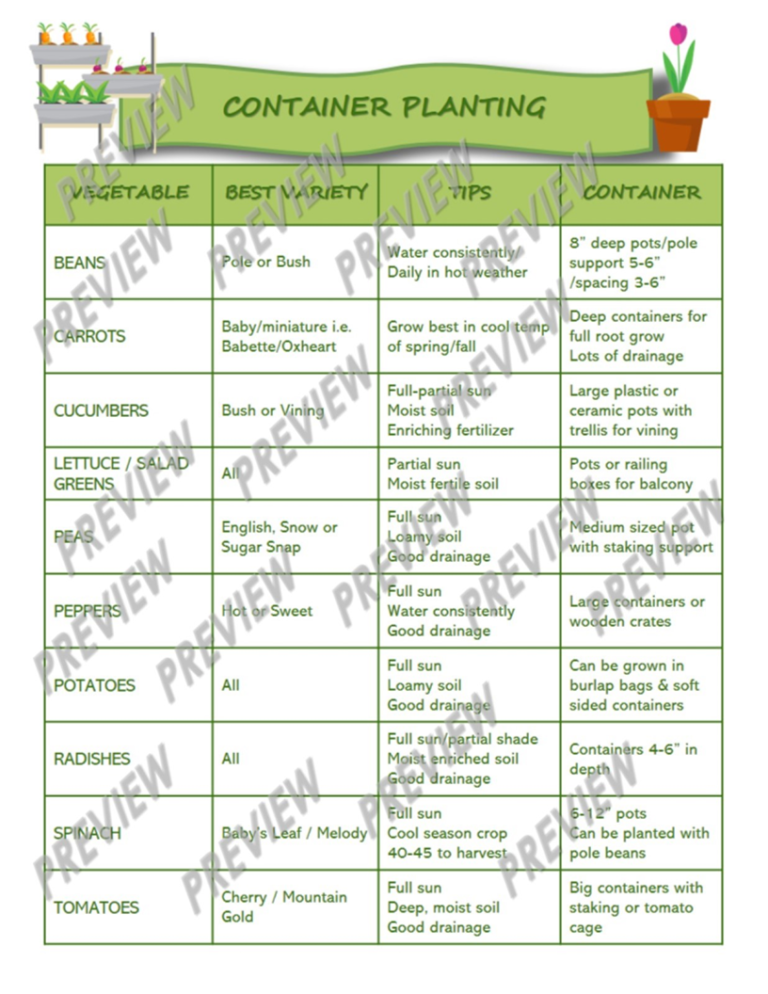 Gardening Planner and Journal | Made By Teachers