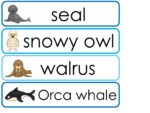 Arctic Word Wall Weekly Daycare Class Accessory | Made By Teachers