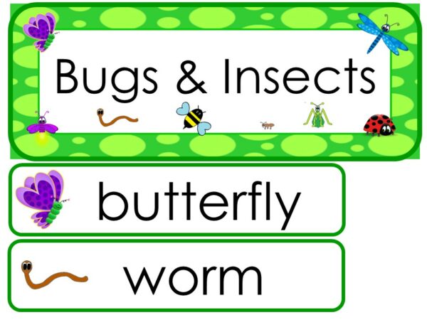 Bugs theme Word Wall Weekly Classroom Accessory. | Made By Teachers