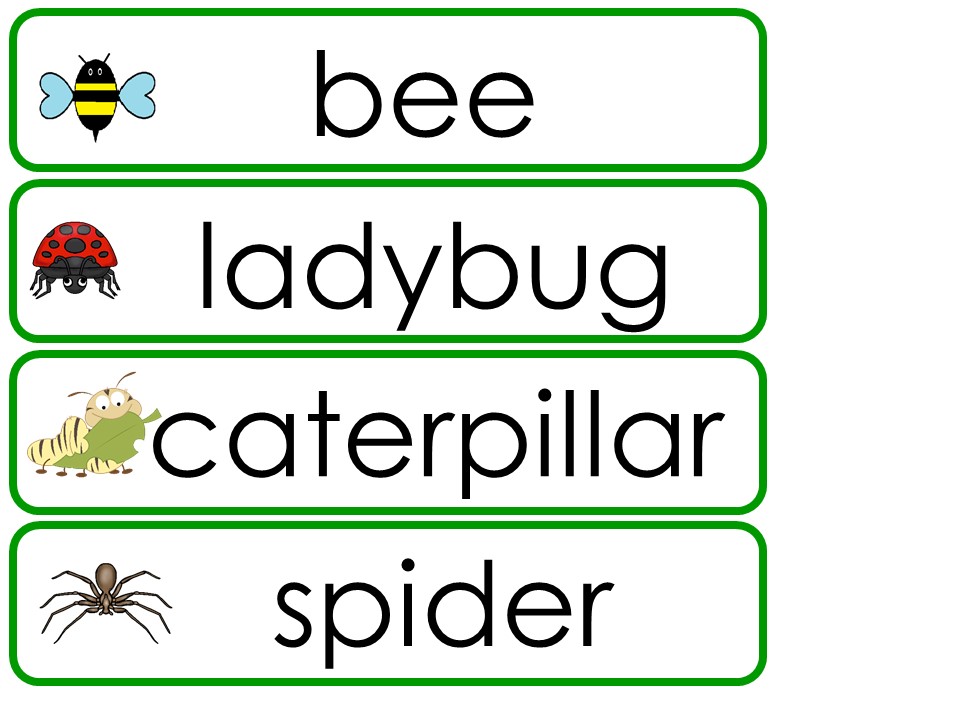 Bugs theme Word Wall Weekly Classroom Accessory. | Made By Teachers