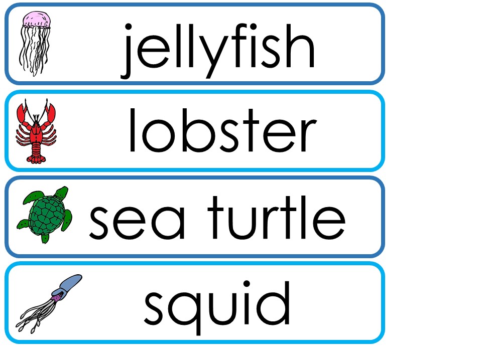 Ocean Life Classroom Word Wall Bulletin Board Set. | Made By Teachers