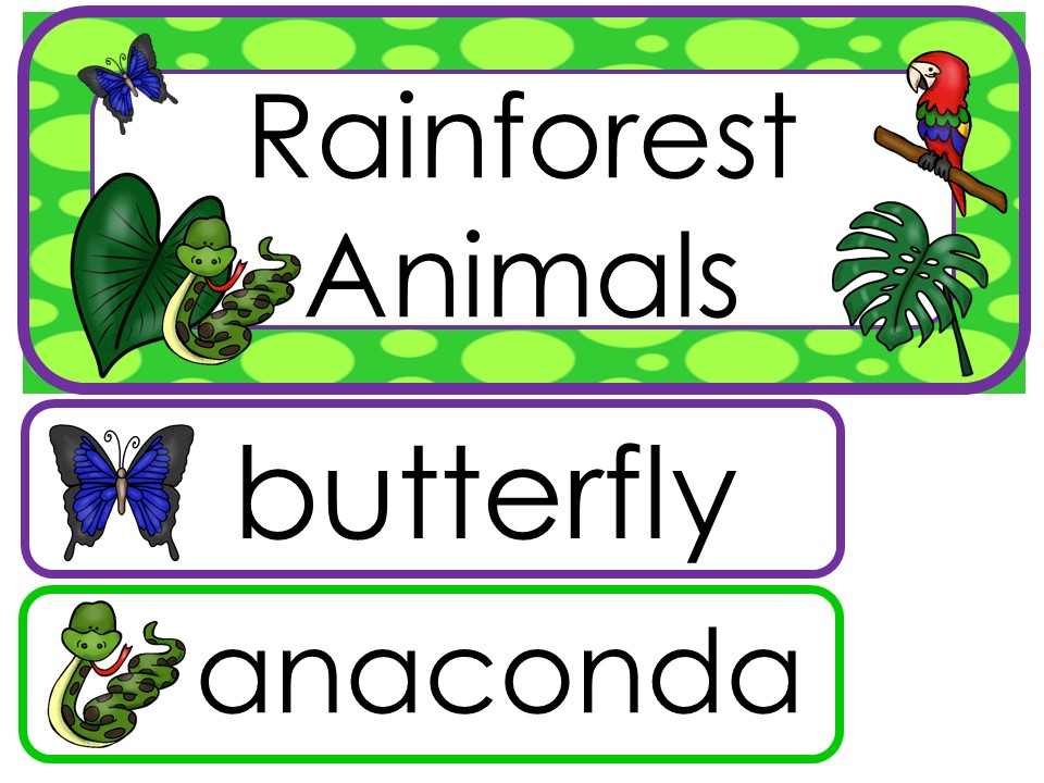 10 Printable Digraphs Roll and Read Worksheets. | Made By Teachers