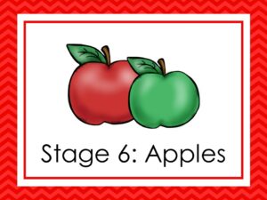 8 Apple Life Cycle Printable Posters Anchor Charts - Made By Teachers