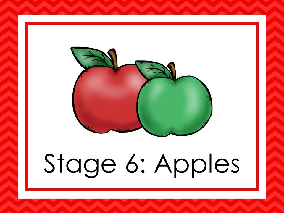8 Apple Life Cycle Printable Posters Anchor Charts - Made By Teachers