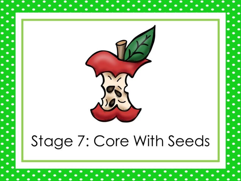8 Apple Life Cycle Printable Posters Anchor Charts - Made By Teachers
