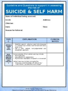 EDITABLE Suicide & Self Harm Risk Assessment | Made By Teachers