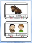 Same or Different Visual Task Cards - Made By Teachers