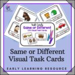 Same or Different Visual Task Cards - Made By Teachers