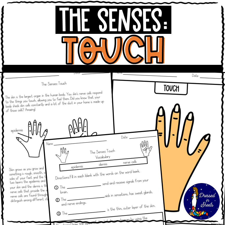 The Senses: Touch - Made By Teachers