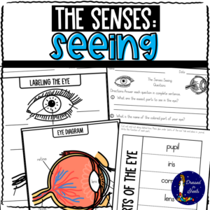 The Five Senses Print and Digital BUNDLE | Made By Teachers