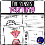 The Five Senses Print and Digital BUNDLE | Made By Teachers