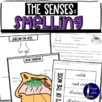 The Five Senses Print and Digital BUNDLE - Made By Teachers