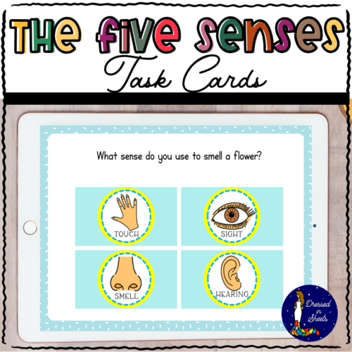The Five Senses Task Cards - Made By Teachers