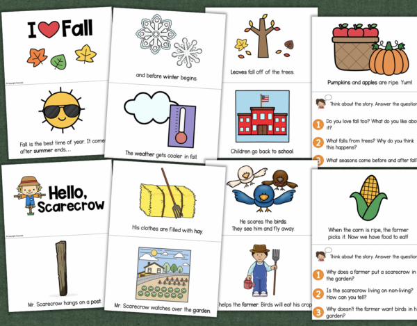 FALL Decodable Readers Vocabulary & Comprehension | Made By Teachers