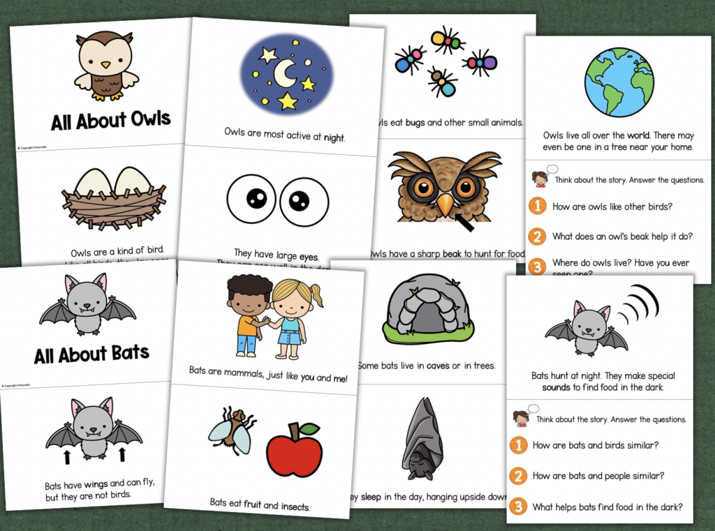 FALL Decodable Readers Vocabulary & Comprehension - Made By Teachers