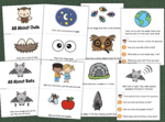 FALL Decodable Readers Vocabulary & Comprehension - Made By Teachers