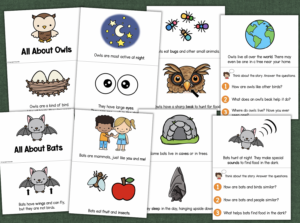 FALL Decodable Readers Vocabulary & Comprehension - Made By Teachers