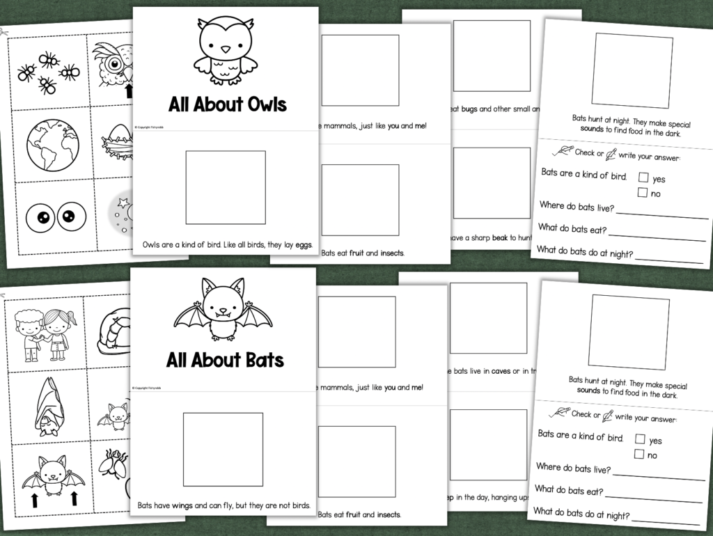 FALL Decodable Readers Vocabulary & Comprehension - Made By Teachers