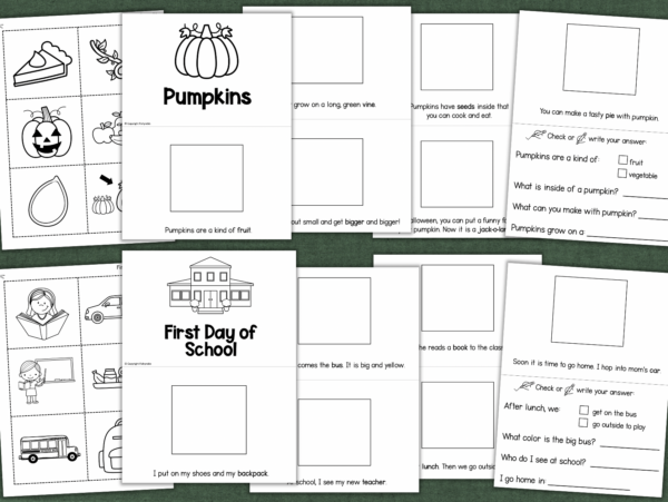 FALL Decodable Readers Vocabulary & Comprehension - Made By Teachers